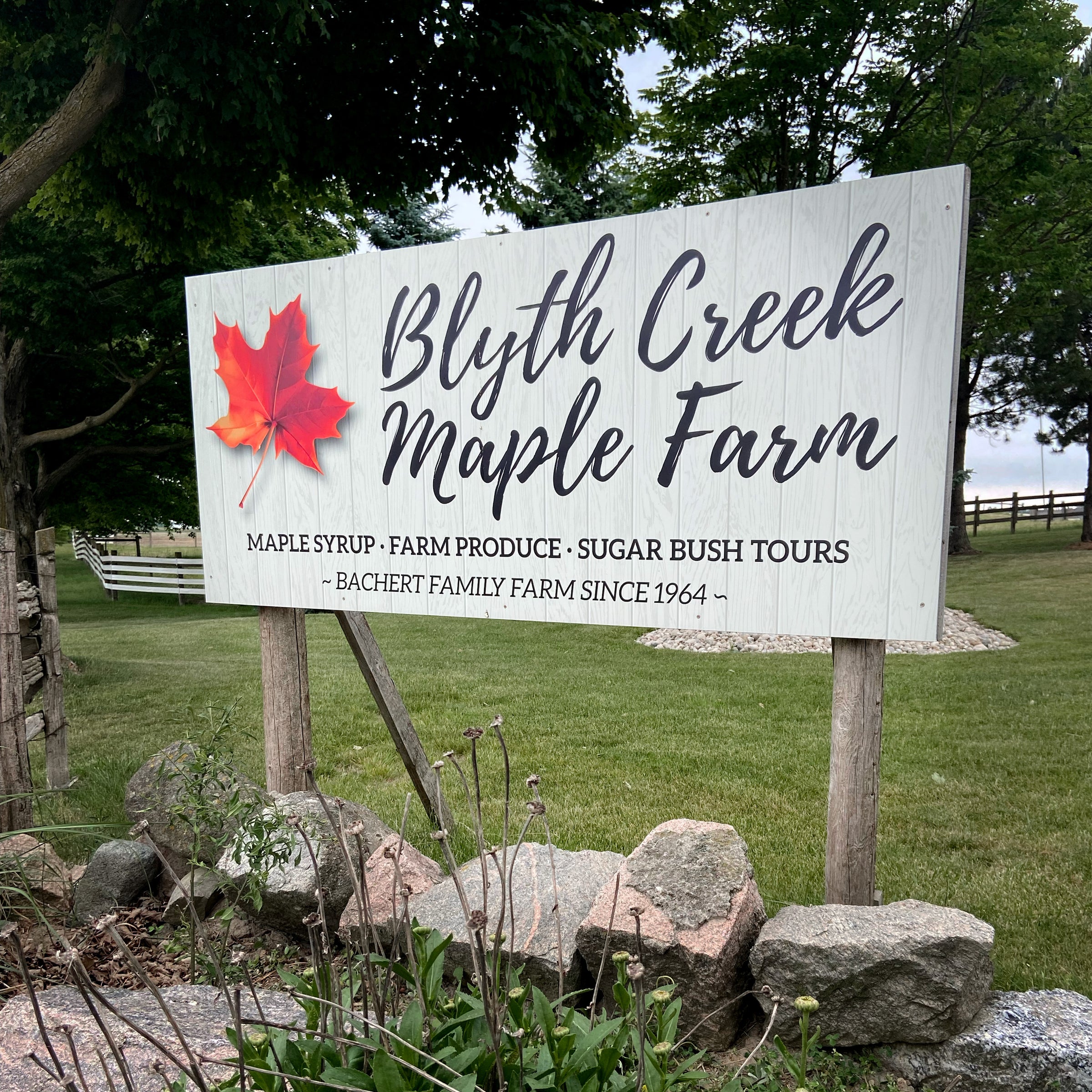 Home | Blyth Creek Maple Farm